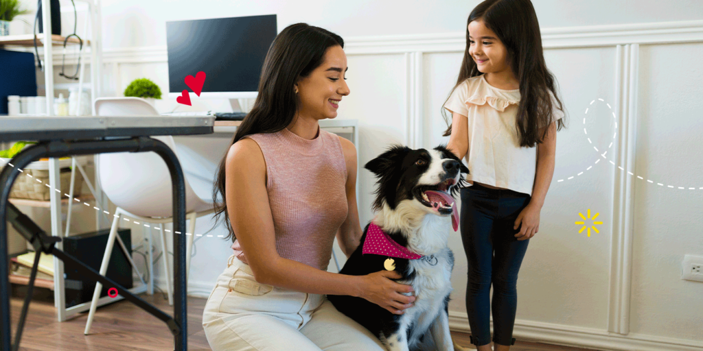 10 consejos básicos para cuidar tu mascota en casa – BENOTI